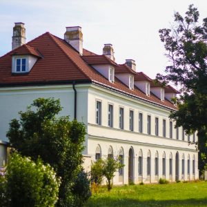 About Us – The Phoenix Institute